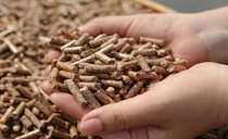 Aslicnova Renewables - Palm Fiber Pellets
